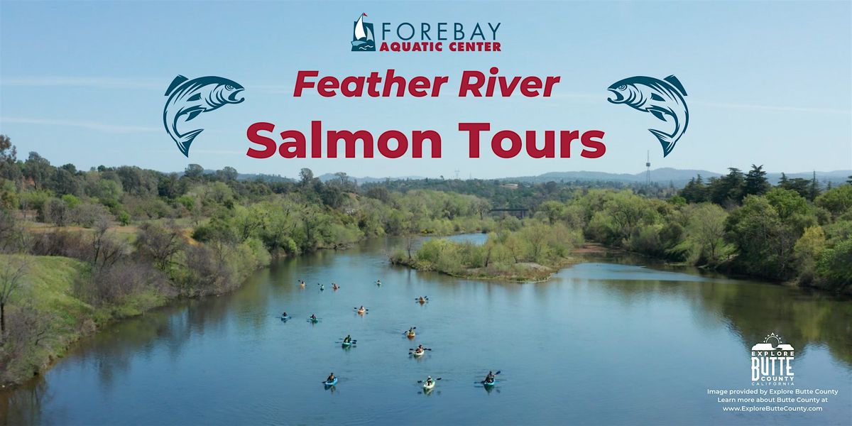 Feather River Salmon Tours 2024, Feather River Fish Hatchery, Oroville ...