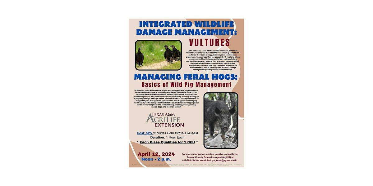Integrated Wildlife Damage Management: Feral Hogs and Vultures, April 12 2024 | Online Event ...
