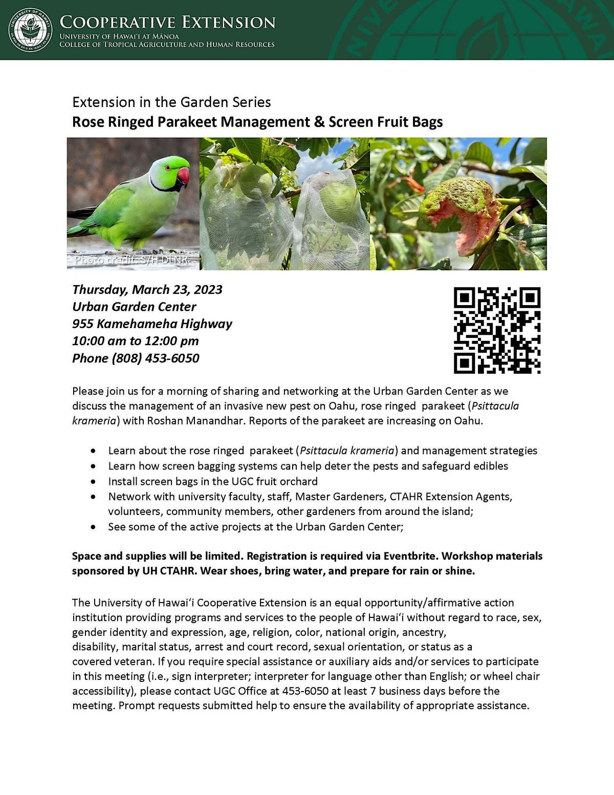 Rose-ringed Parakeet Management and Screen Fruit Bags, Oahu Urban ...
