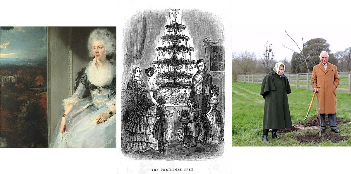 The Queens’ Trees: Charlotte, Victoria and Elizabeth II, Wallace House ...