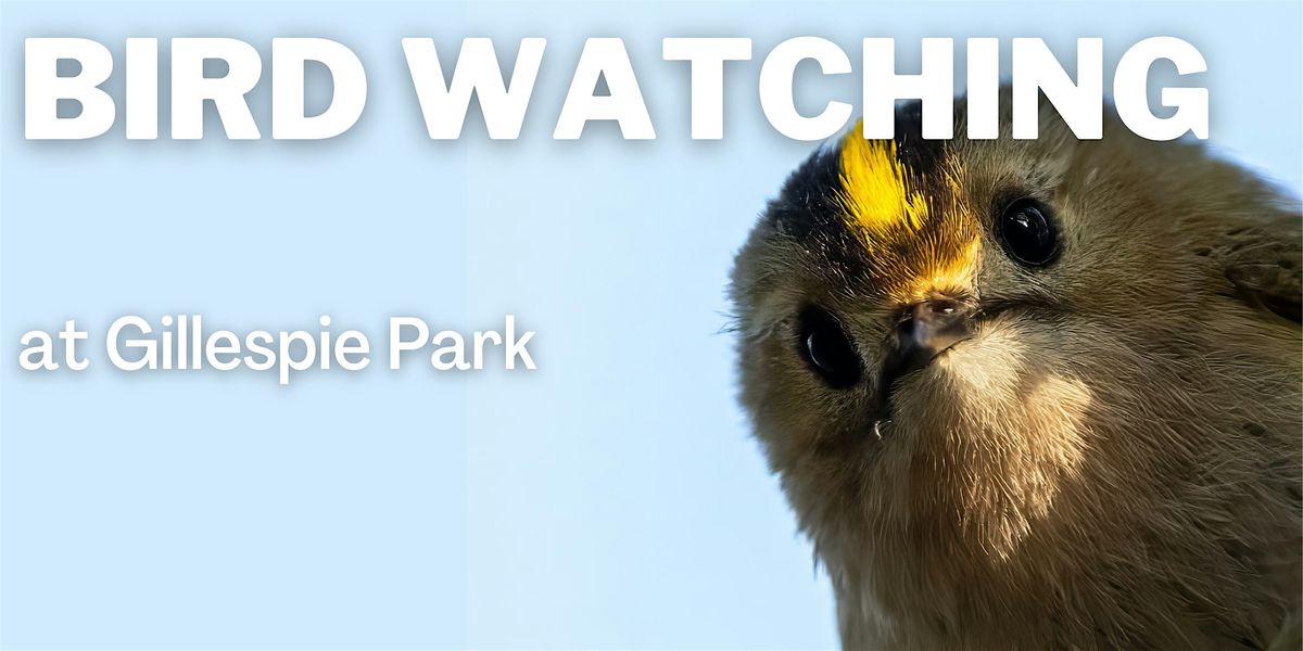 Bird Watching in Gillespie Park, Gillespie Park, London, 25 March 2024 ...