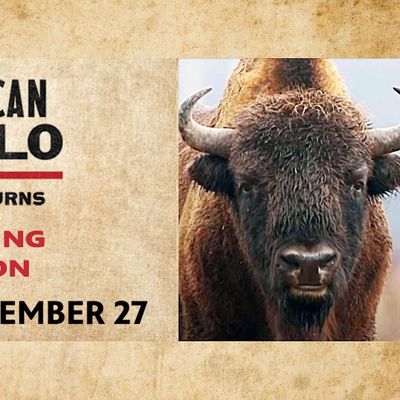 WCTE PBS Ken Burns The American Buffalo Free Screening, Cumberland ...