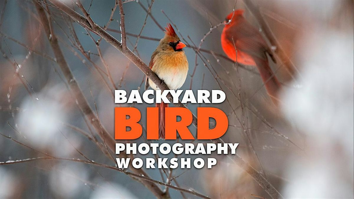 Backyard Bird Photography Workshop, WDO Photography, Pittsburgh, 10 ...