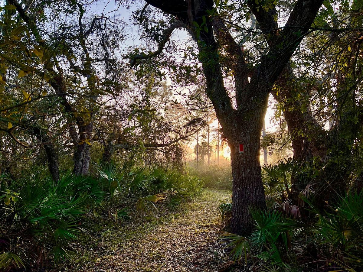 Guided Walk: CREW Flint Pen Strand (Red Trail), Flint Pen Strand ...