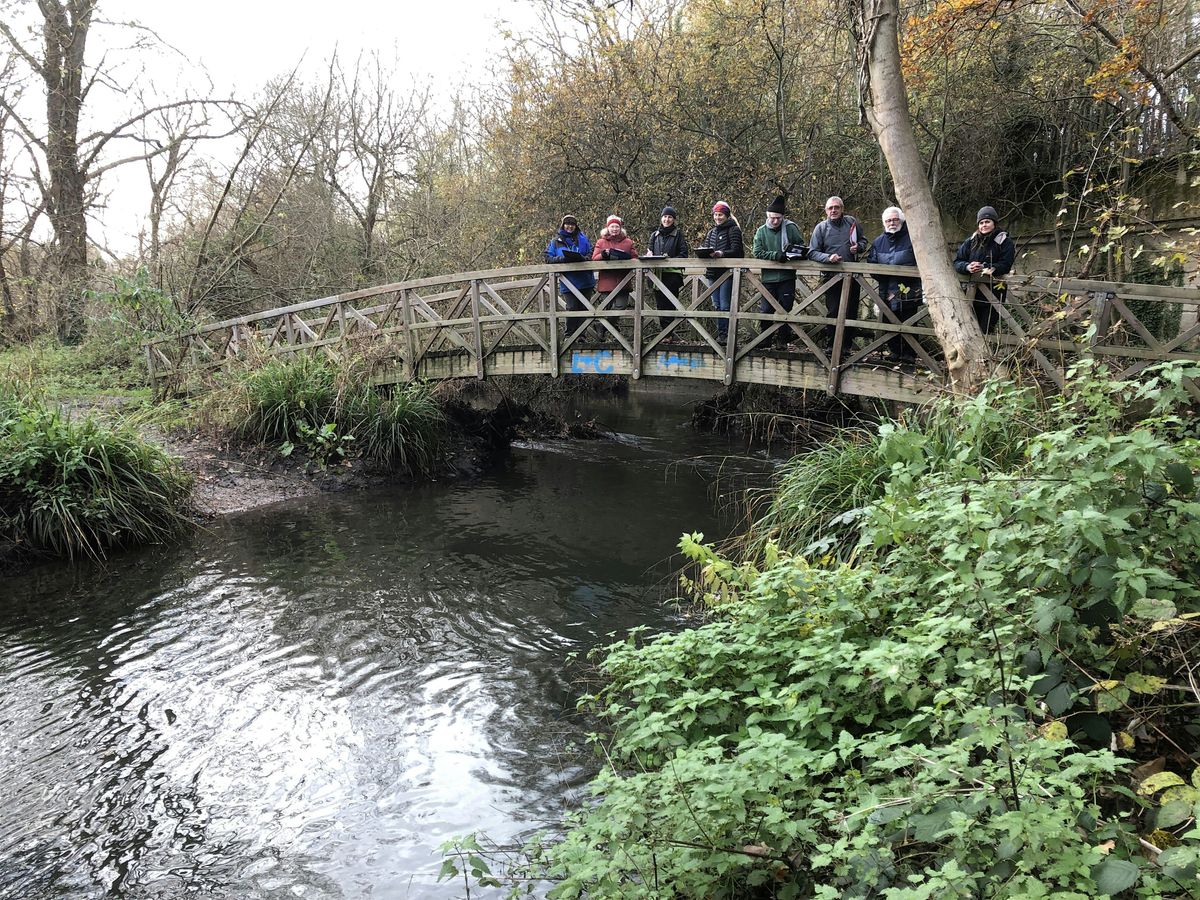 Monitoring Spider Park: Field day with MoRPh CSci & Invertebrate ...