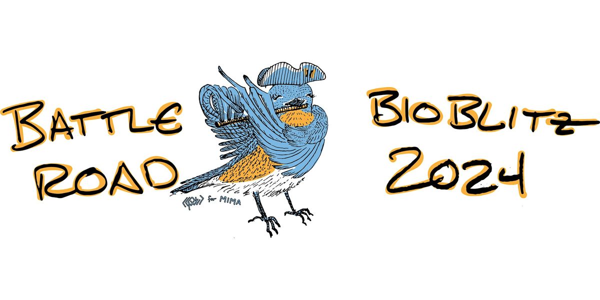 Battle Road BioBlitz 2024: Aqua Blitz - Amphibians and Aquatic ...