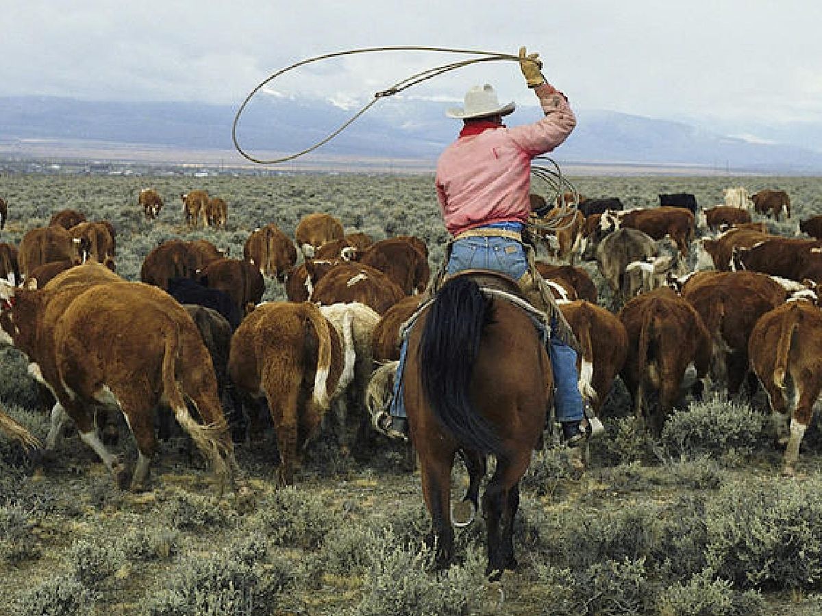 Deep Dive into USDA, 17 August 2029 | AllEvents.in