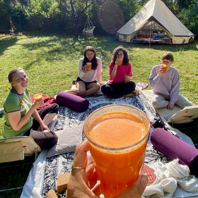 3 Day Detox Juice Fasting Retreat Outside Berlin - Full Moon Special ...