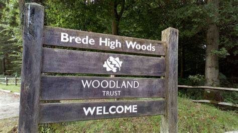 Brede High Woods 11.5 mile walk, Brede High Woods, Rye, 21 January 2024 ...