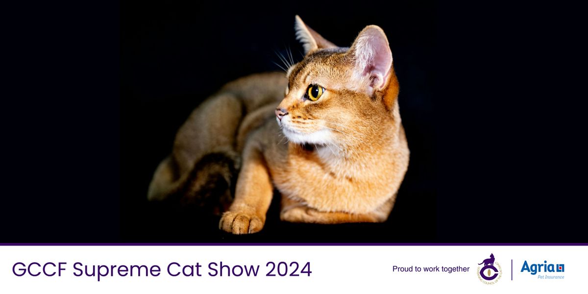 The GCCFs 46th Annual Supreme Cat Show, CV8 2LZ, Kenilworth, 19 October ...