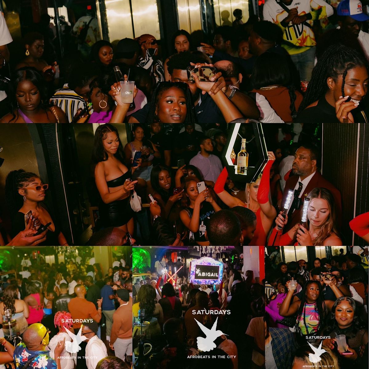 DC AfroCaribbean Saturdays w/ Open Bar @ Abigail, Abigail, Washington ...