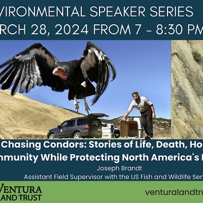 2024 Environmental Speaker Series - Joseph Brandt, The Robert J ...