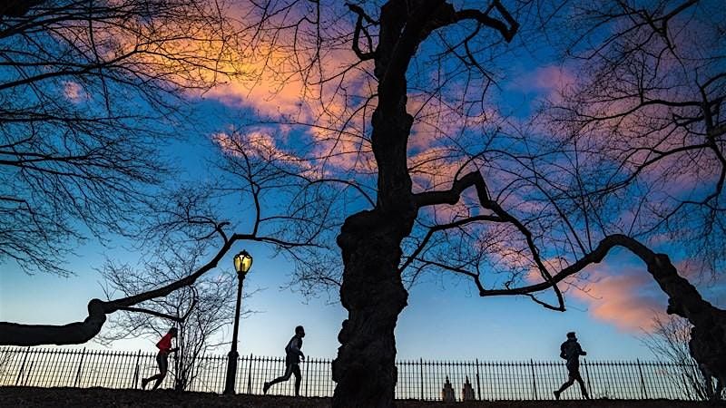 The Transformative Power of Running on Mental Well-Being, NYRR ...