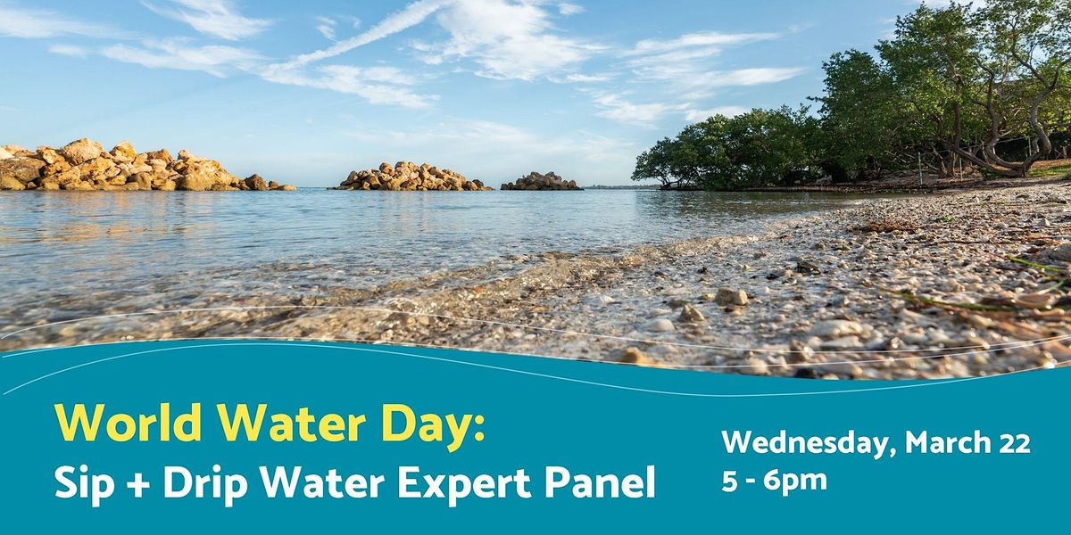World Water Day: Sip + Drip Water Expert Panel, The Oval at The Bay ...