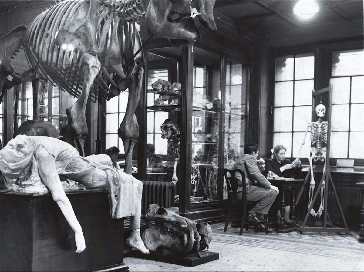 Inaugural Pickstone Lecture: Sam Alberti Ways of Knowing in the Museum ...