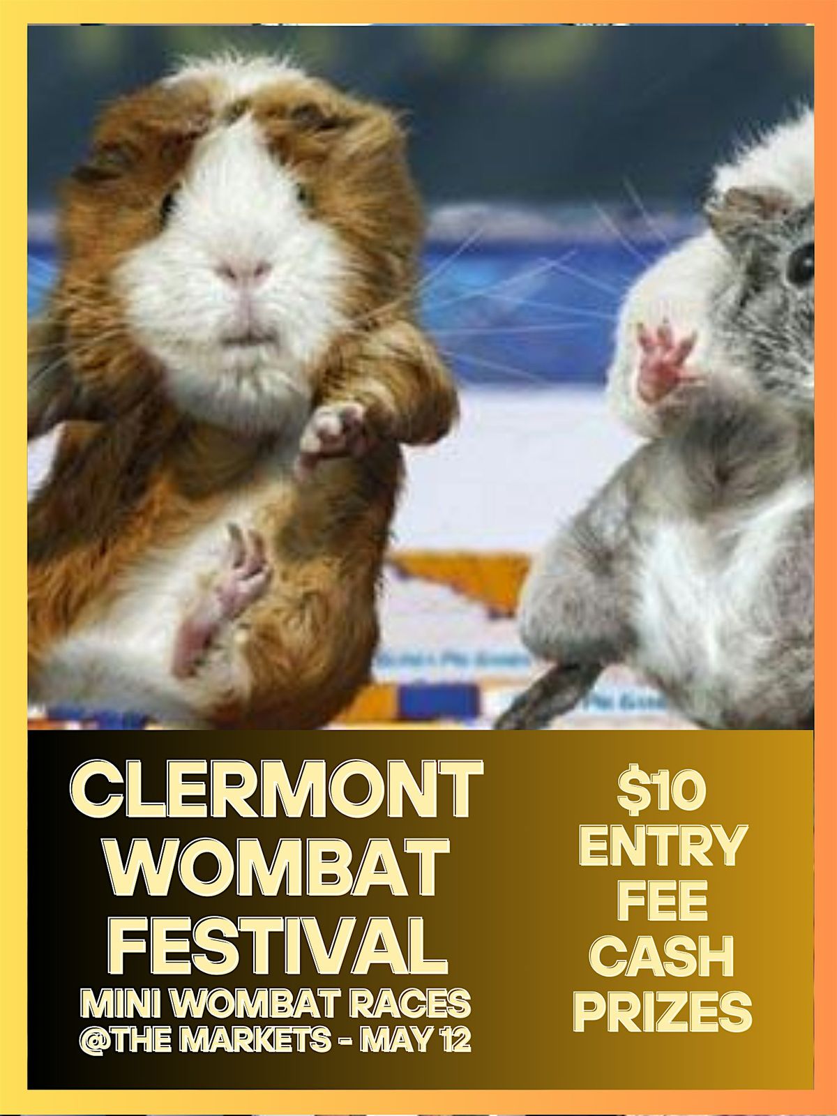 Mini-Wombat Races, BA Recreation Hall, Clermont, 12 May 2024 | AllEvents