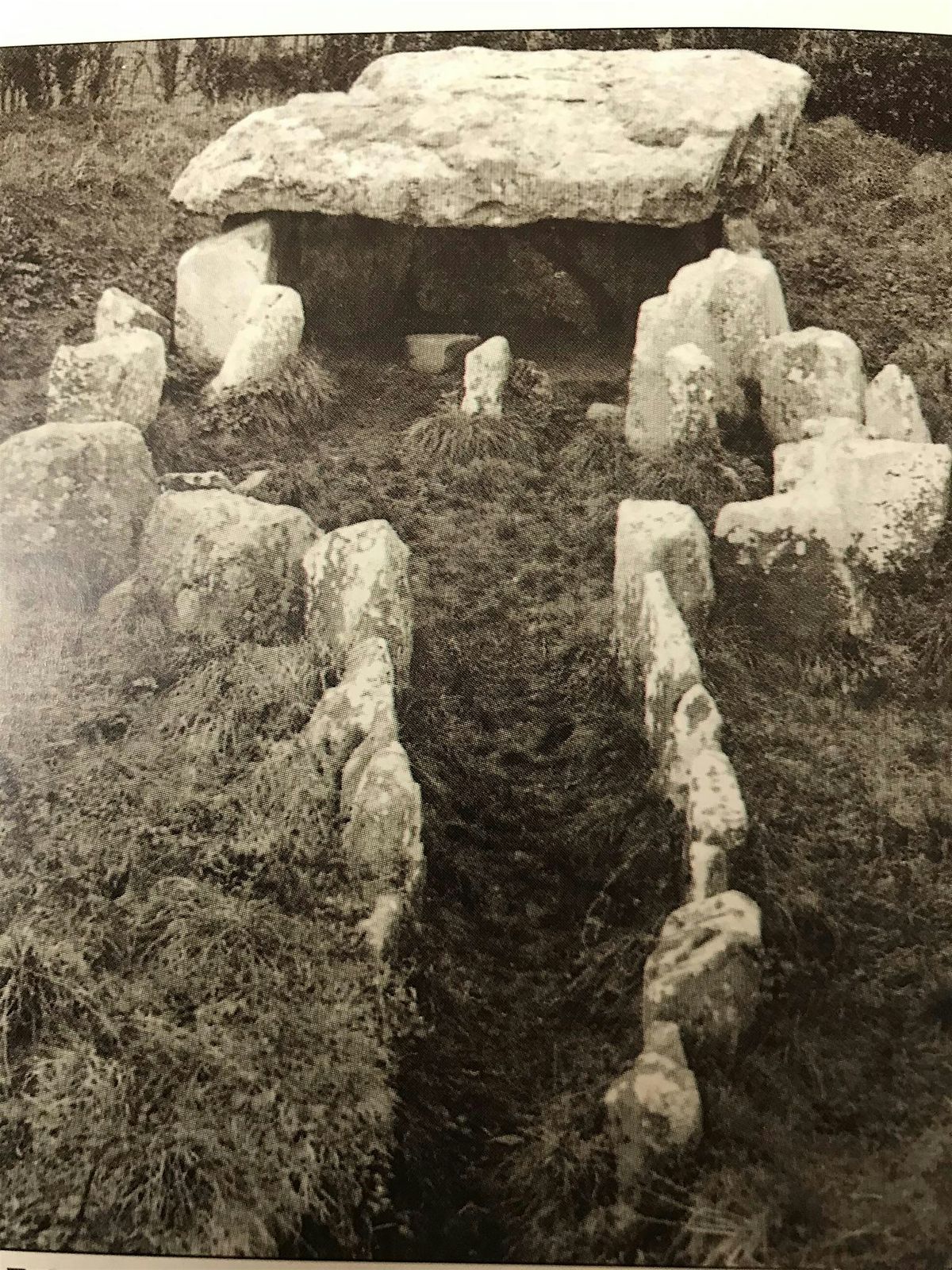 Stroll In Jersey Twilight Walk Gorey 1, The Dolphin Pub, St Martin, 13 ...