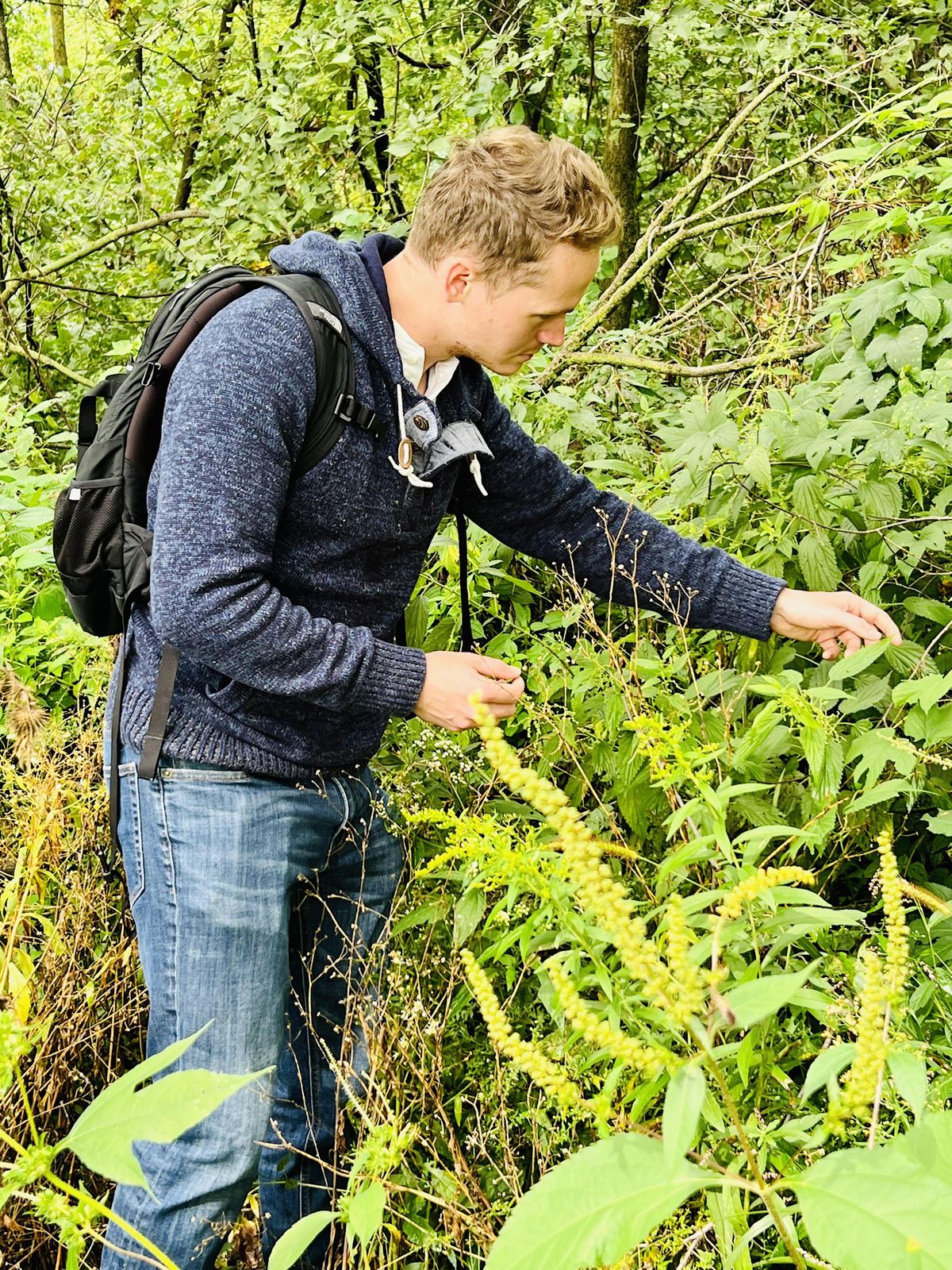 LEARN ABOUT MEDICINAL & EDIBLE SPRING HERBS W/Aron McNicholas ...
