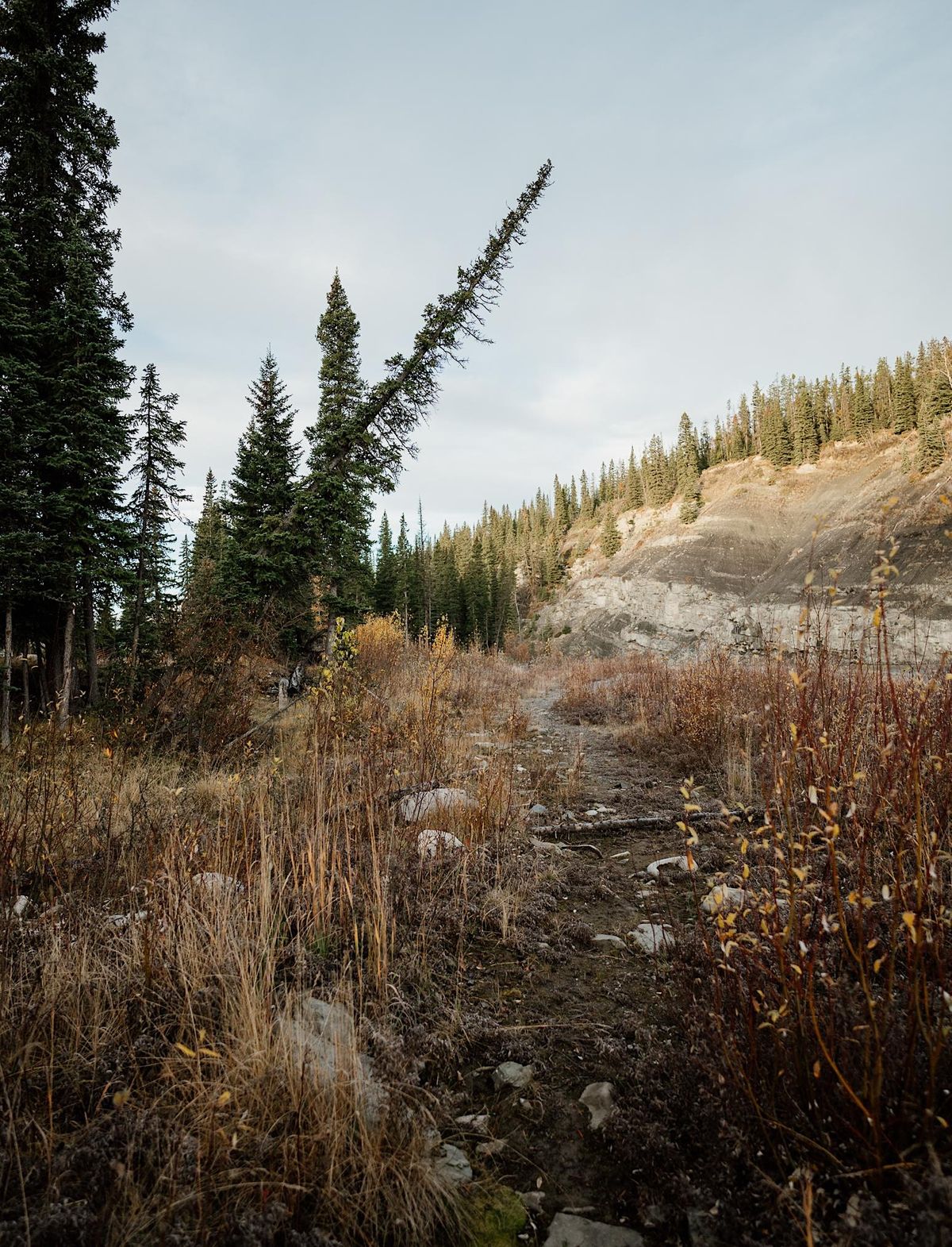 5 km Group Trail Run, Meewasin Trail Parking Lot, Grandora, 10 February ...