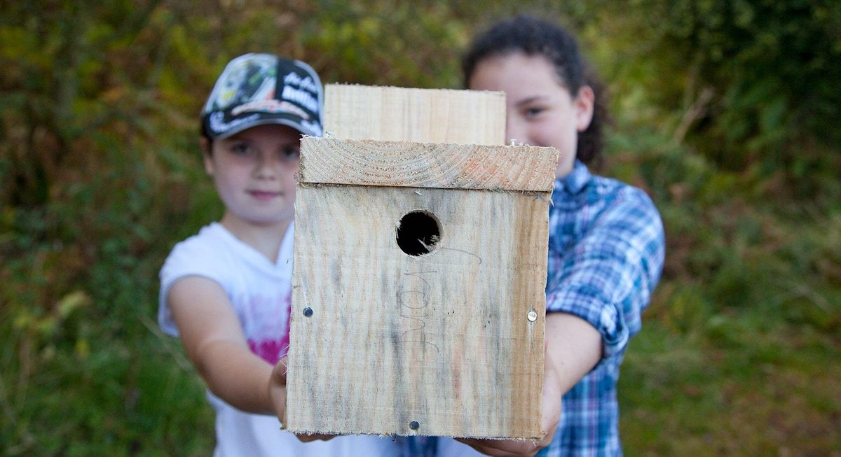 Hanningfield Bird Box Building, Hanningfield Reservoir Nature Discovery ...