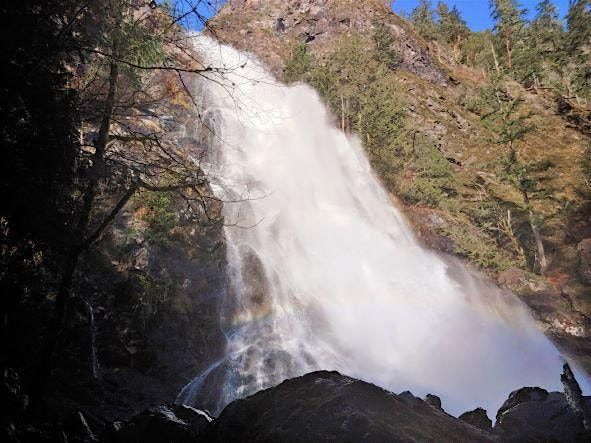 Olympic Peninsula Waterfall Tour, Hood Canal Adventures, BRINNON, 20 ...