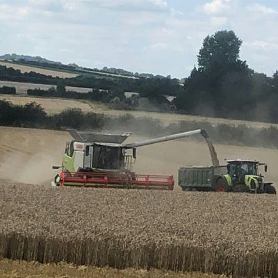 Catchment Sensitive Farming Arable Hub, Woodborough Park Farm ...
