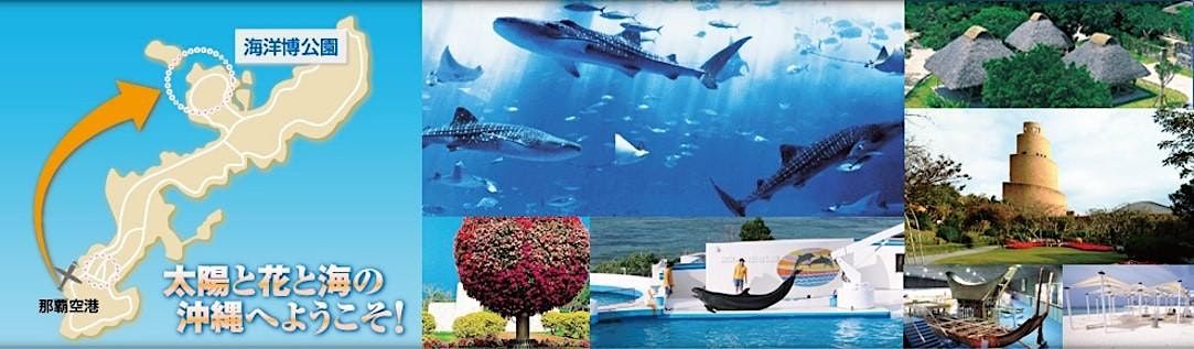 MCCS Okinawa Tours: NORTHERN TOUR ONLY Expo Park and Churaumi Aquarium ...
