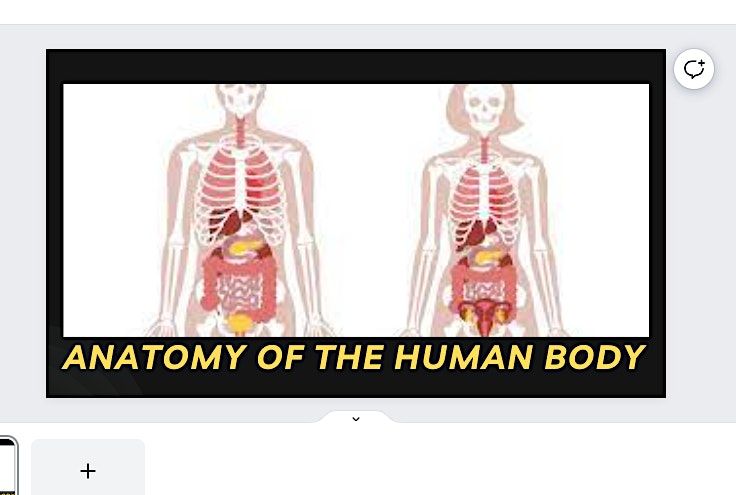 Anatomy of The Human Body, Central Coast Sports College, Kariong, 6 ...