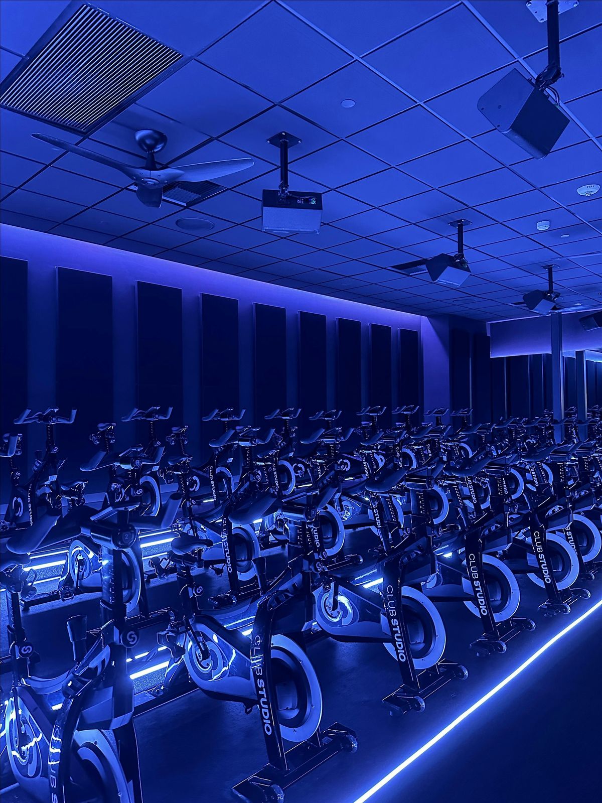 Ridin Curvy, Club Studio, Long Beach, 29 June 2024 | AllEvents.in