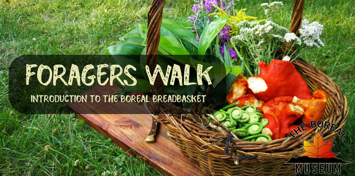 Boreal Museums Foragers Walk, 500 Algoma St N, Thunder Bay, 25 May to ...