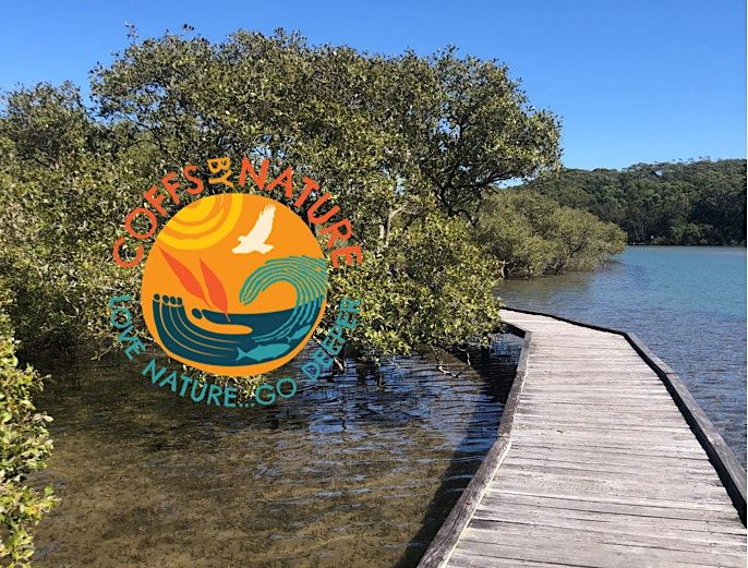 Mangrove Tour Coffs Creek - Coffs By Nature, Coffs Creek, Coffs Harbour ...