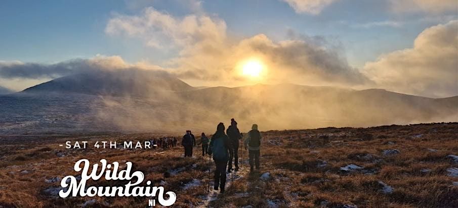Western Mournes Guided Hike - Hen, Cock & Pigeon, Hen Mountain Car Park ...