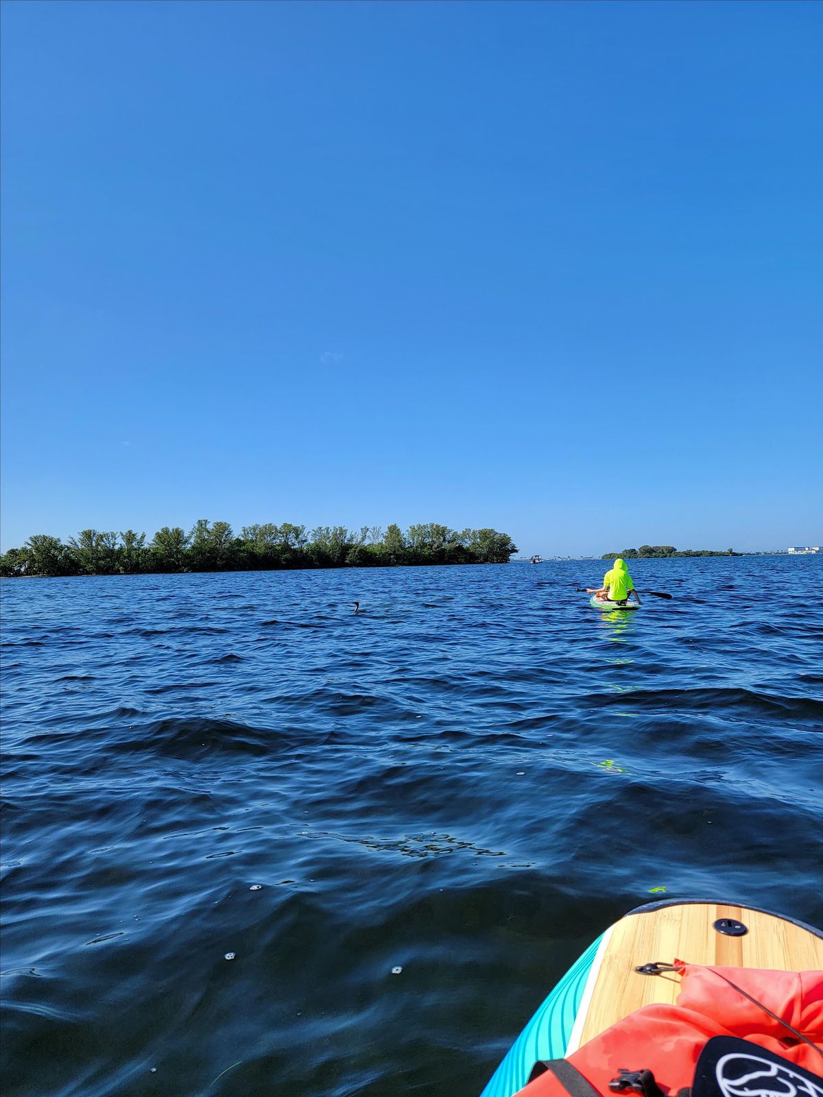 Pop Stansell Island Hop SUP Tour, Pop Stansell Park, Palm Harbor, 27 ...