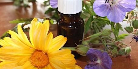 Make your own Aromatherapy, Campbelltown Public Library Meeting Rooms ...