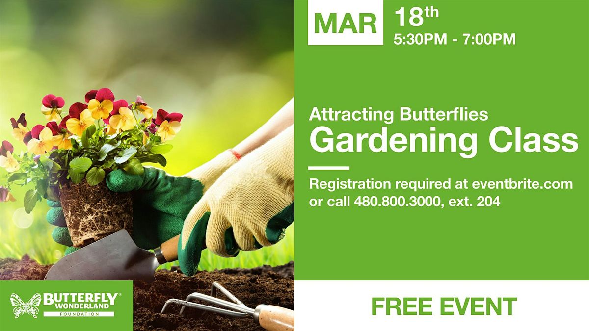 Butterfly Wonderland - How to Build a Spring Pollinator Garden ...