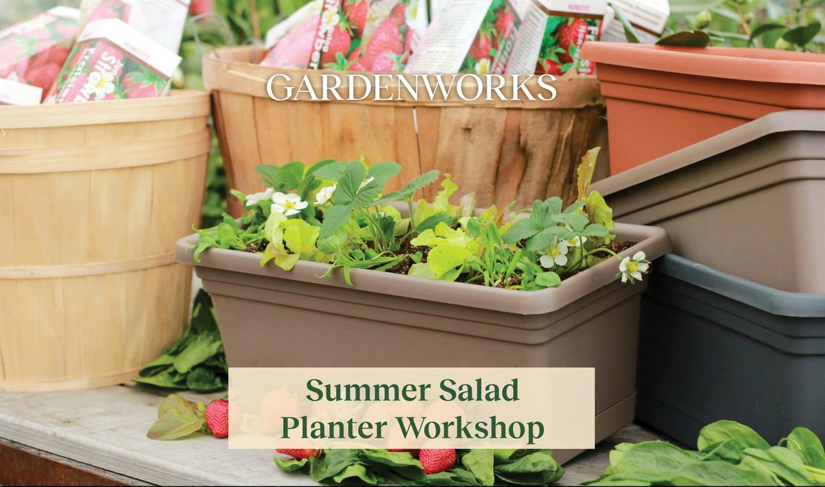 Summer Salad Planter Workshop at GARDENWORKS North Shore, GARDENWORKS ...