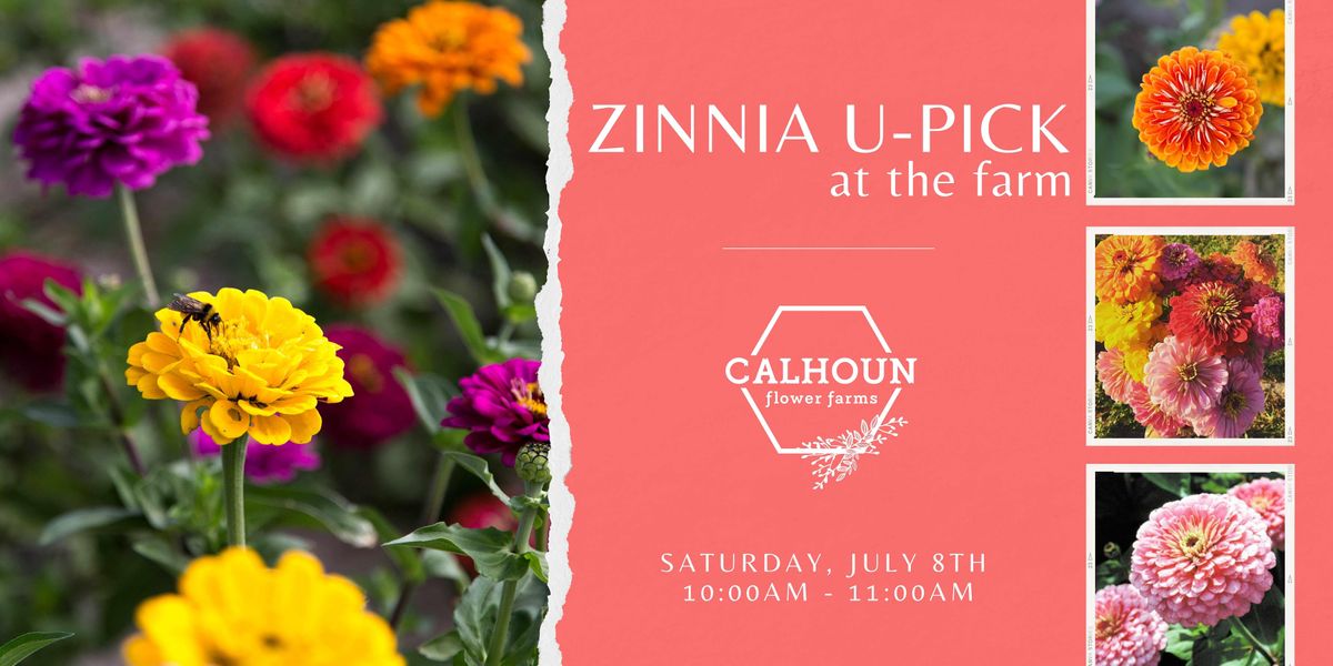 Zinnia U-Pick at Calhoun Flower Farms, La Mesa, 8 July 2023 | AllEvents.in