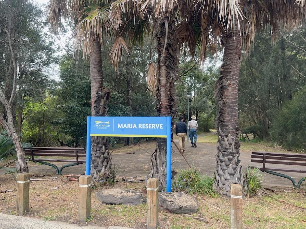 Guided Walk along Cooks River Strathfield route: Gurrundurrung Yana ...