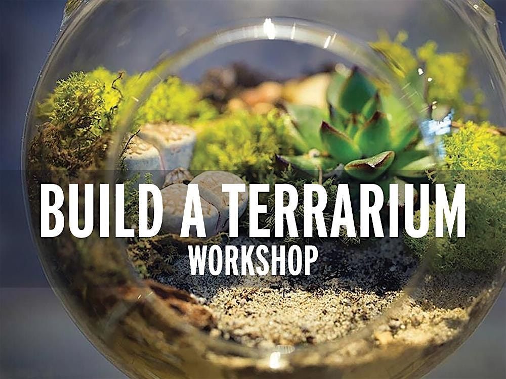 Build a Terrarium Workshop, Kingsland Church, Colchester, 30 March 2024 ...