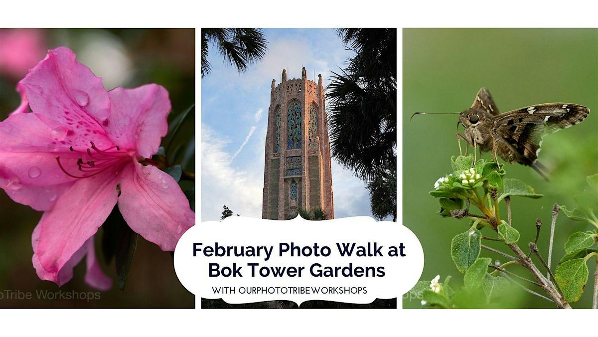 February Photo Walk at Bok Tower with OurPhotoTribe Workshops, Bok ...