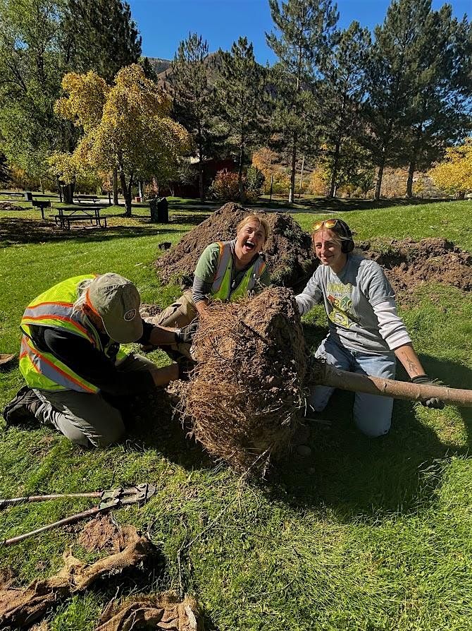 Arbor Day Tree Planting: 2024, 27 April 2024 | AllEvents