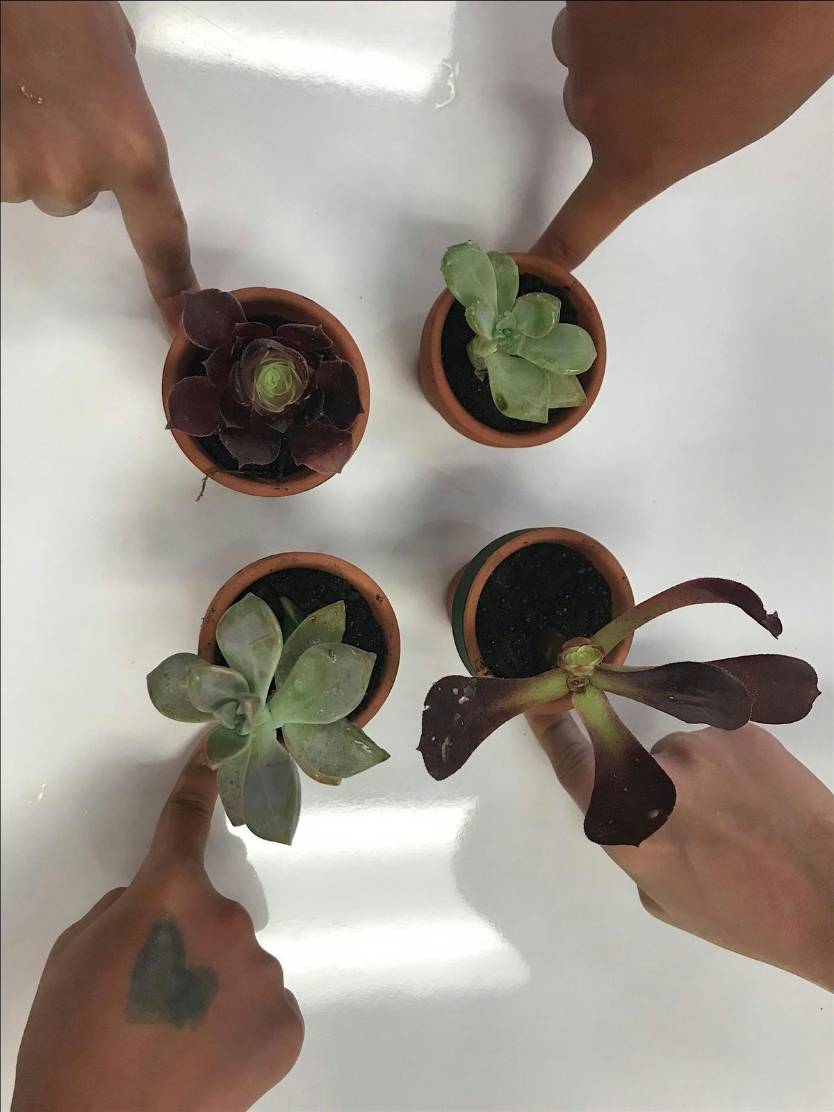 Bionerds Field Trip to OC Food and Farm Lab, 8000 Great Park Blvd, Irvine, 5 May 2024 | AllEvents