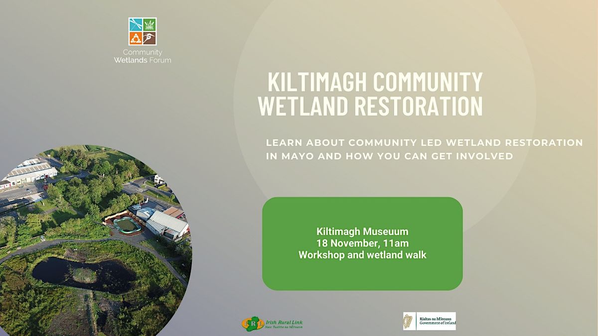 Kiltimagh Community Wetland Restoration Workshop and Walk, Kiltimagh ...