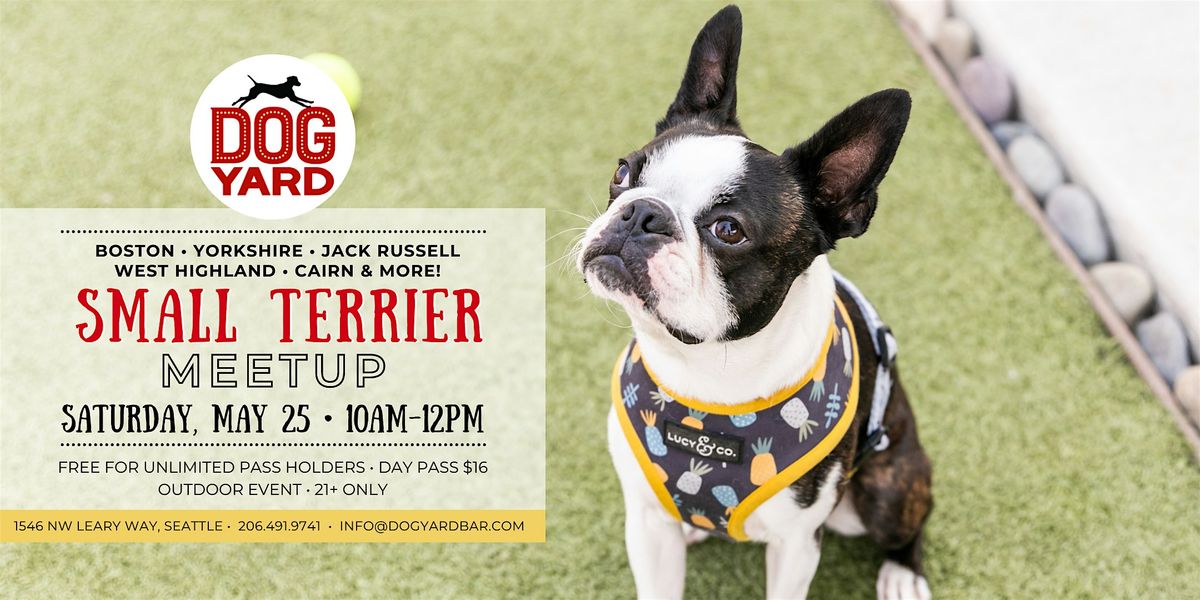 Small Terrier Meetup at the Dog Yard Bar - Saturday, May 25, Dog Yard ...