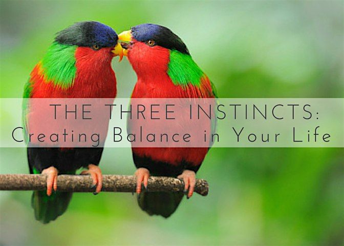 The Three Instincts (Subtypes) Workshop, The Enneagram Center ...