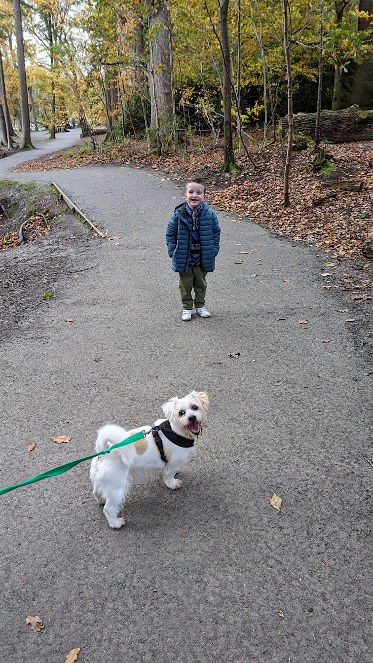 Paws for Cause, Ormeau Park, Belfast, 11 May 2024 | AllEvents