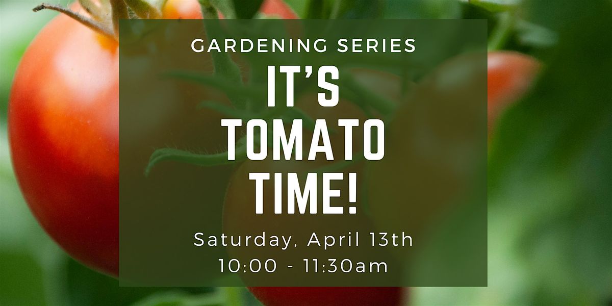 Gardening Series: Its Tomato Time, 336 Sanjon Rd, Ventura, 13 April ...