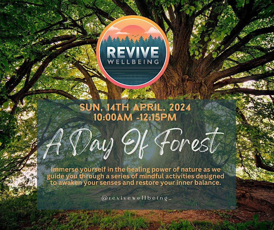 A morning of Forest Bathing, grounding and Mindfulness - April, Brushes ...