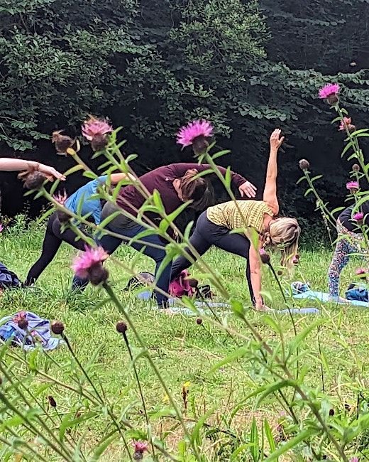 Late Summer Foraging & Mindful Movement, Cadder Wharf, Glasgow, 1 ...