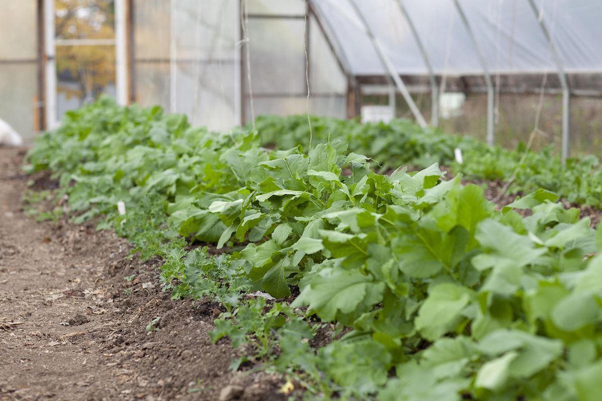 Introduction to Sustainable Home Food Production, Gorman Heritage Farm ...